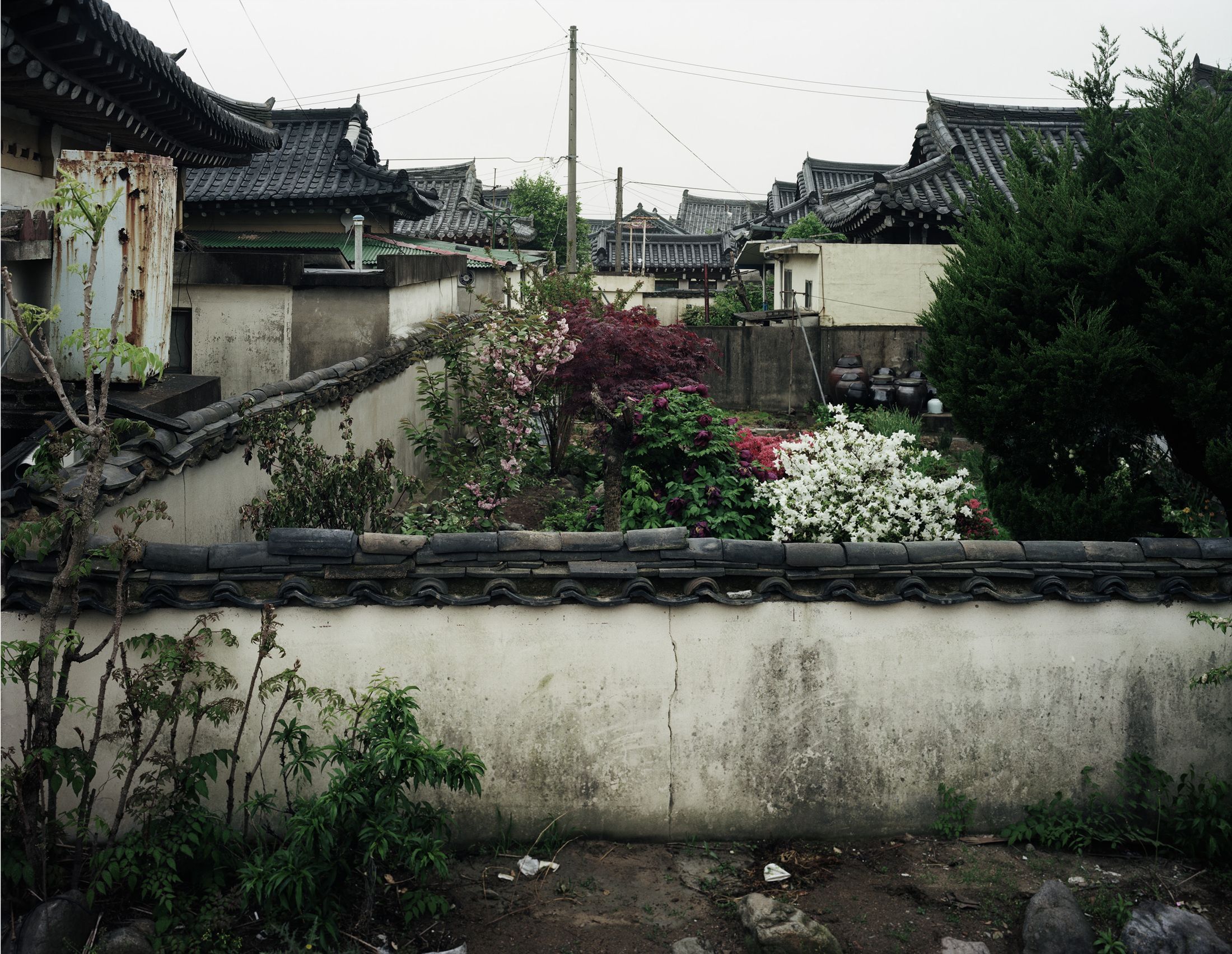 Photographer Thomas Struth visits both North & South Korea