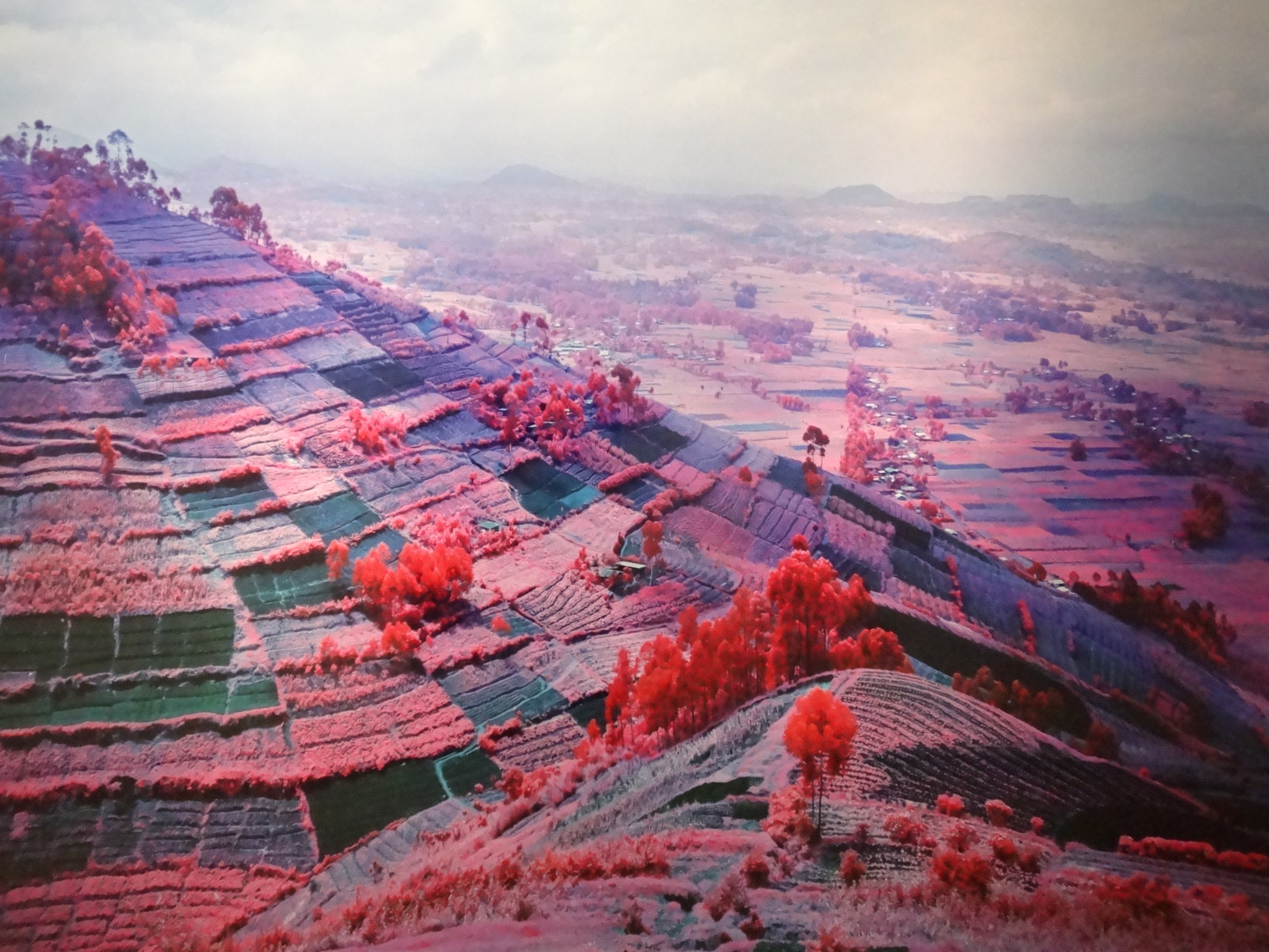 Richard Mosse’s Enclave in Congo – Dreamlike & disturbing