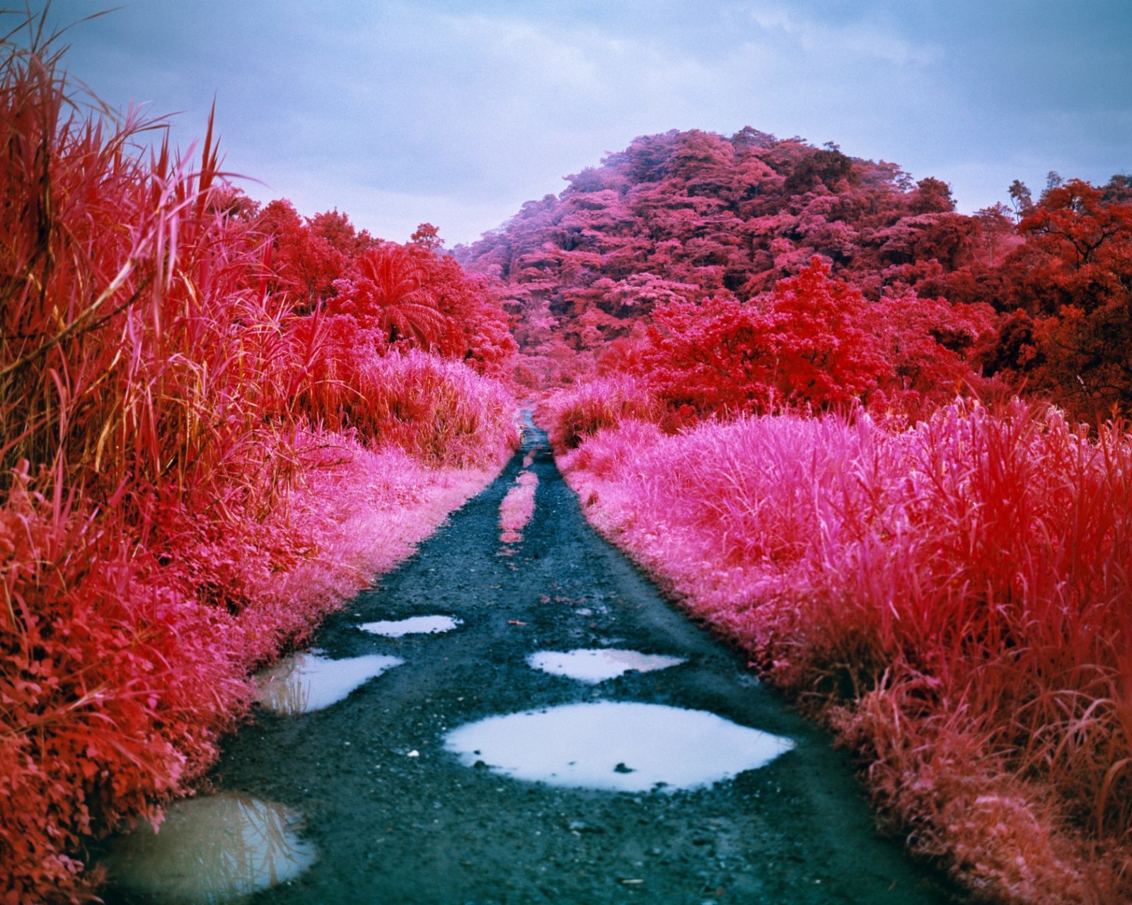 Richard Mosse’s Enclave in Congo – Dreamlike & disturbing