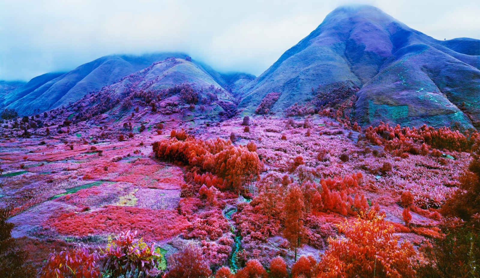 Richard Mosse’s Enclave in Congo – Dreamlike & disturbing