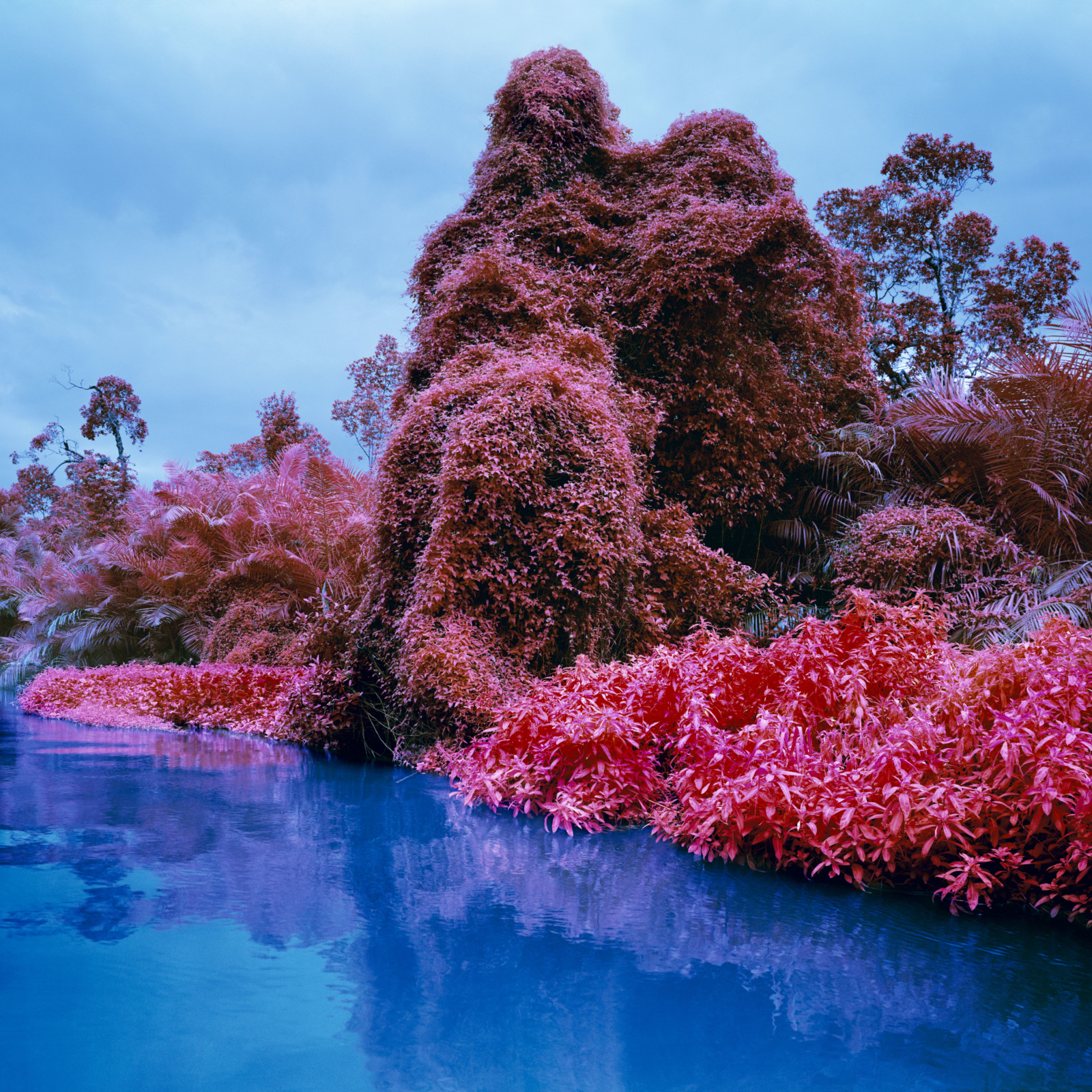 Richard Mosse’s Enclave in Congo – Dreamlike & disturbing