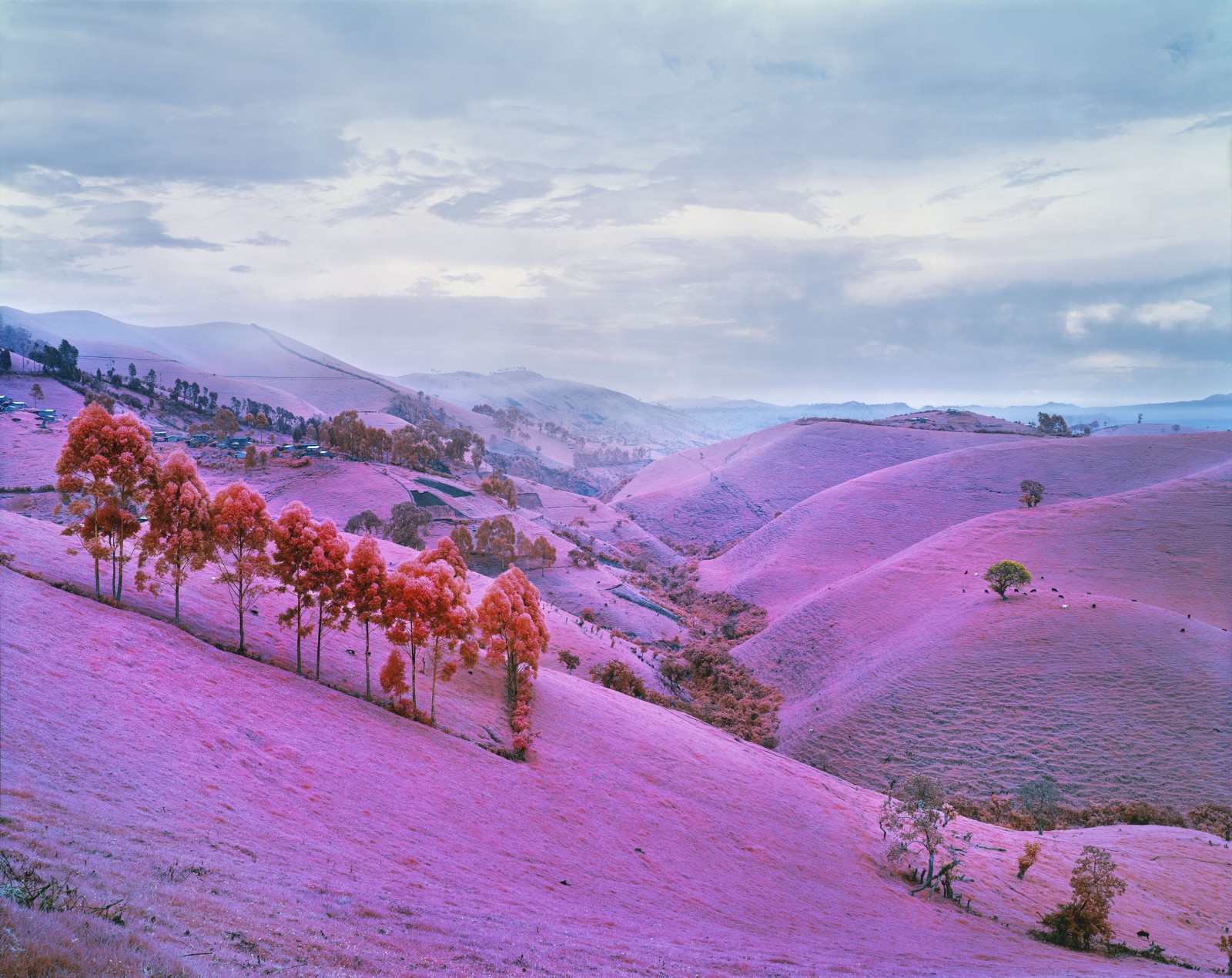 Richard Mosse’s Enclave in Congo – Dreamlike & disturbing