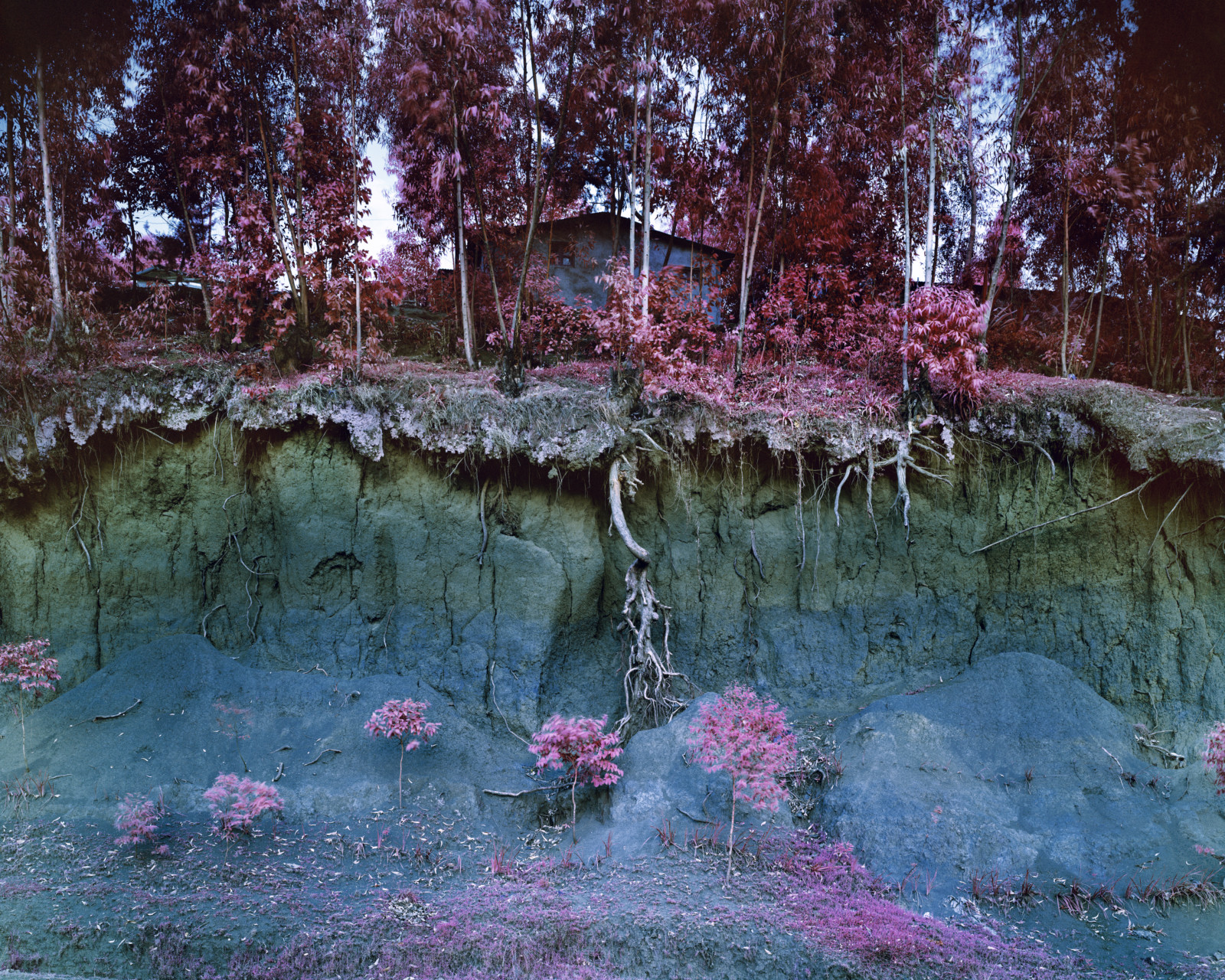 Richard Mosse’s Enclave in Congo – Dreamlike & disturbing