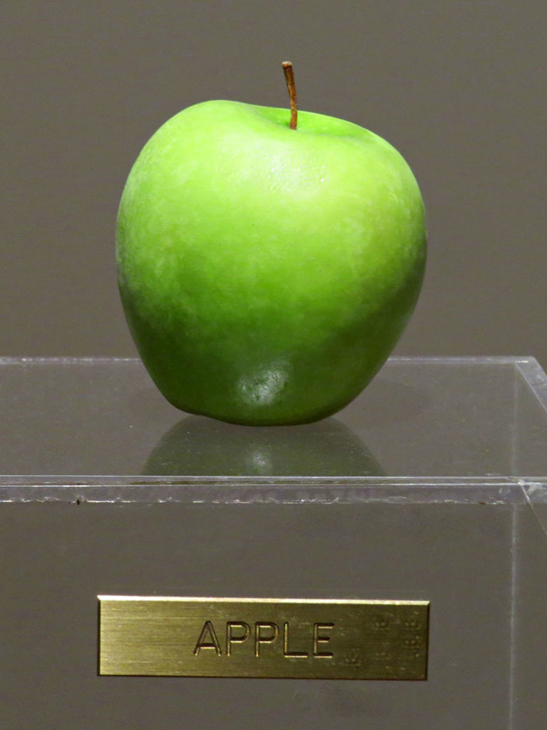 What is Yoko Ono’s Wish Tree all about?