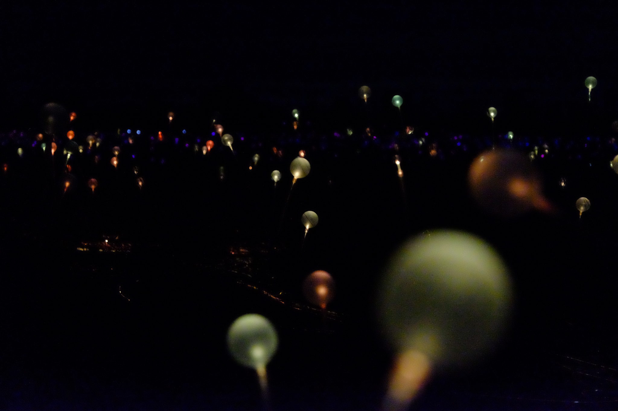 Why should you visit Bruce Munro’s Fields of Lights?