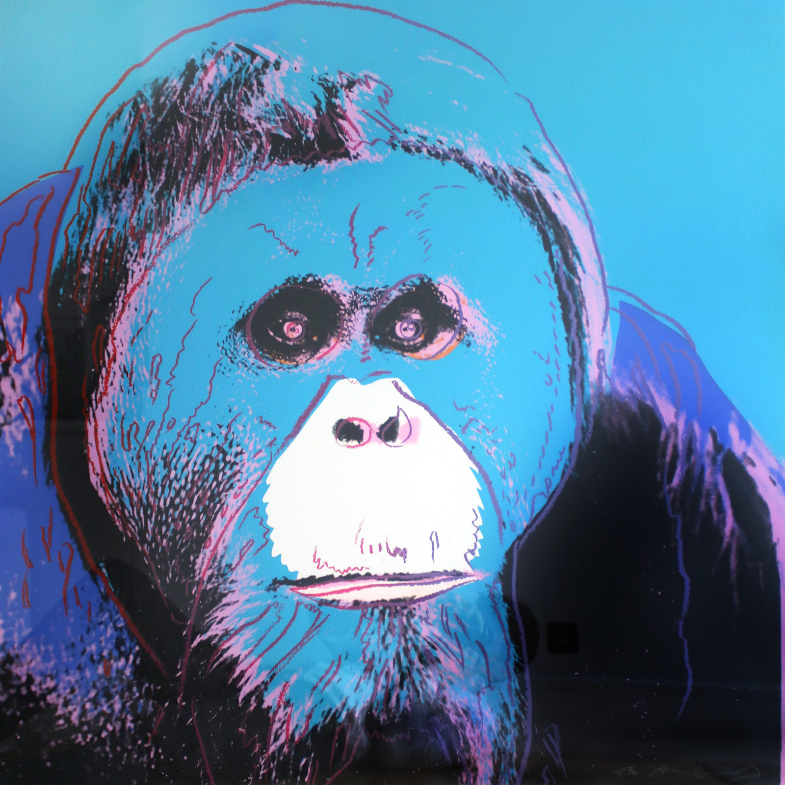 Andy Warhol’s Endangered Species – Everything you need to know