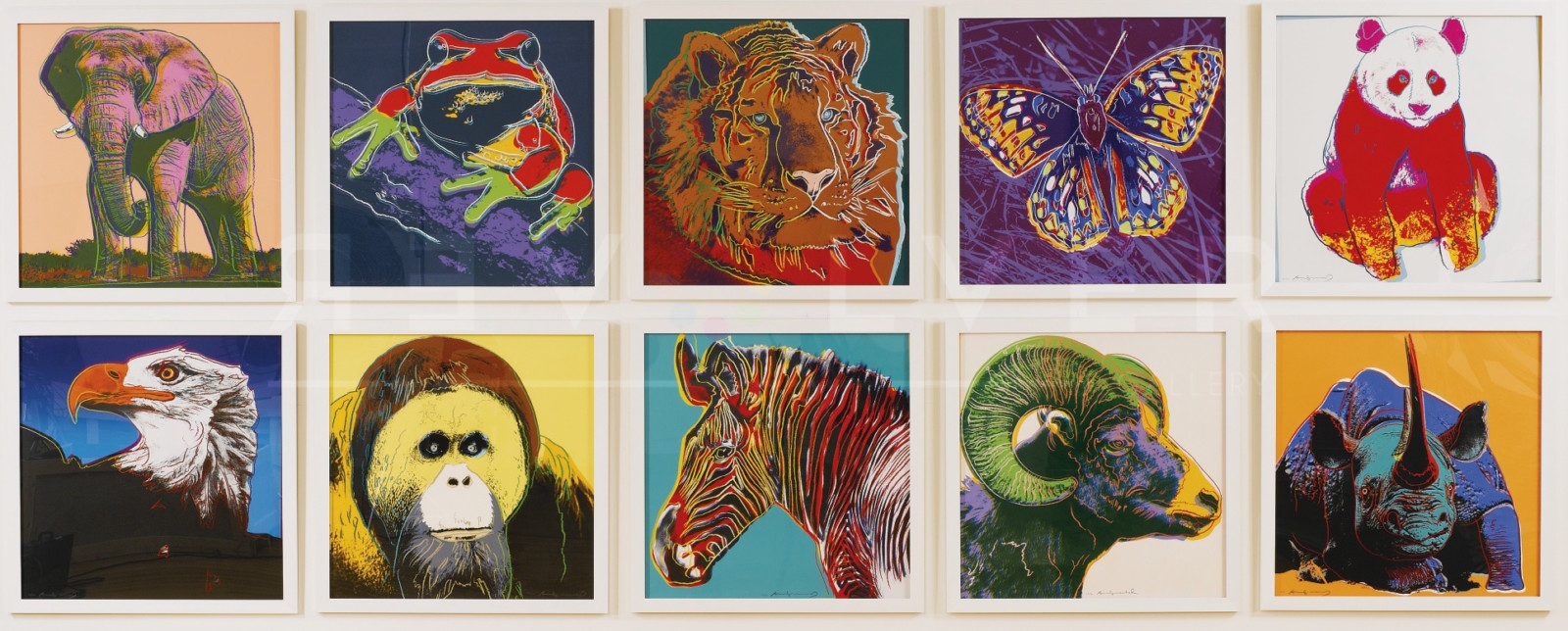 Andy Warhol’s Endangered Species – Everything you need to know