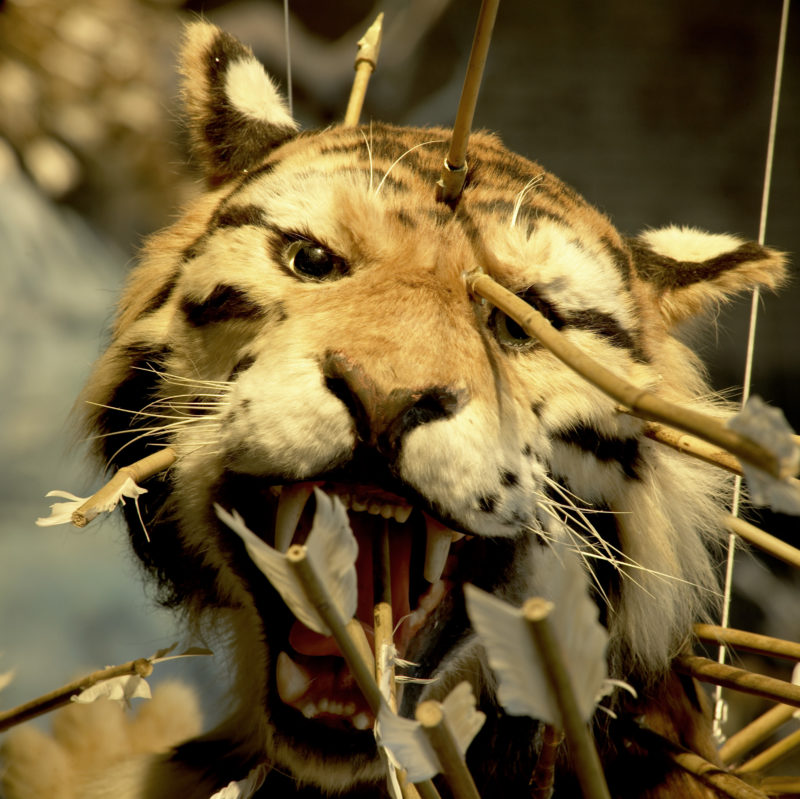 This was Cai Guo-Qiang’s impressive installation Inopportune at the ...