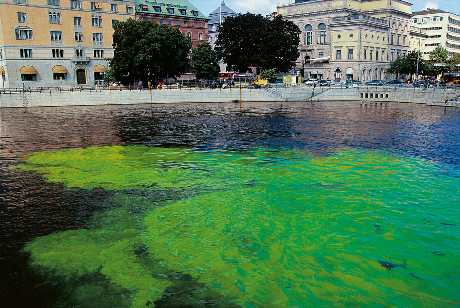 Why did Olafur Eliasson turn these rivers green?