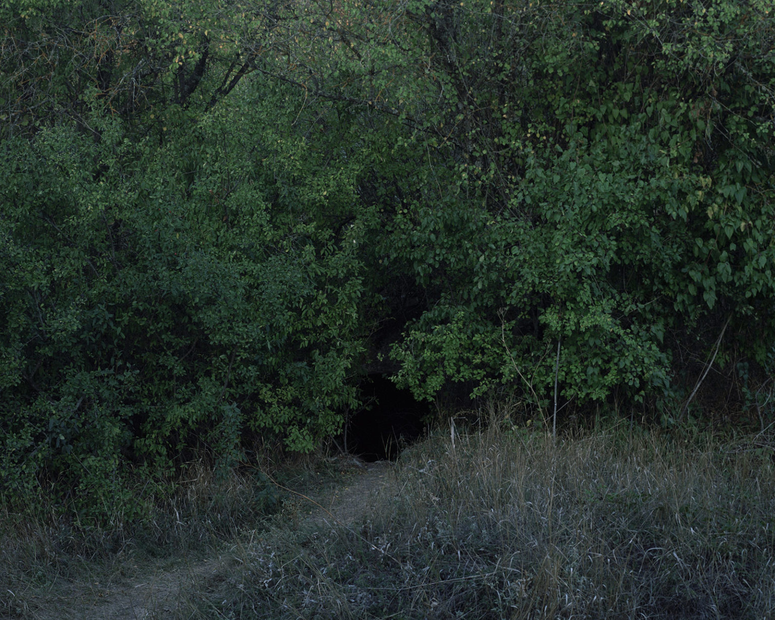 Danila Tkachenko: How hermits live in the Russian wilderness