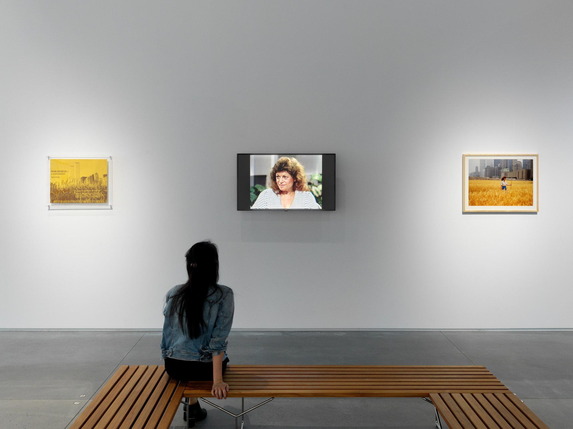 Wheatfield – A Confrontation: Why did Agnes Denes create it?