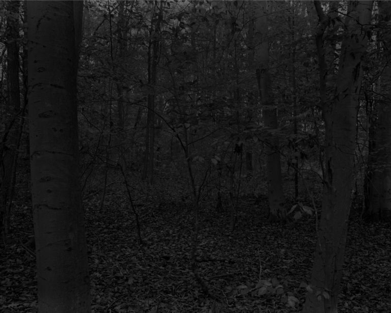 Dawoud Bey’s somber Night Coming Tenderly, Black project