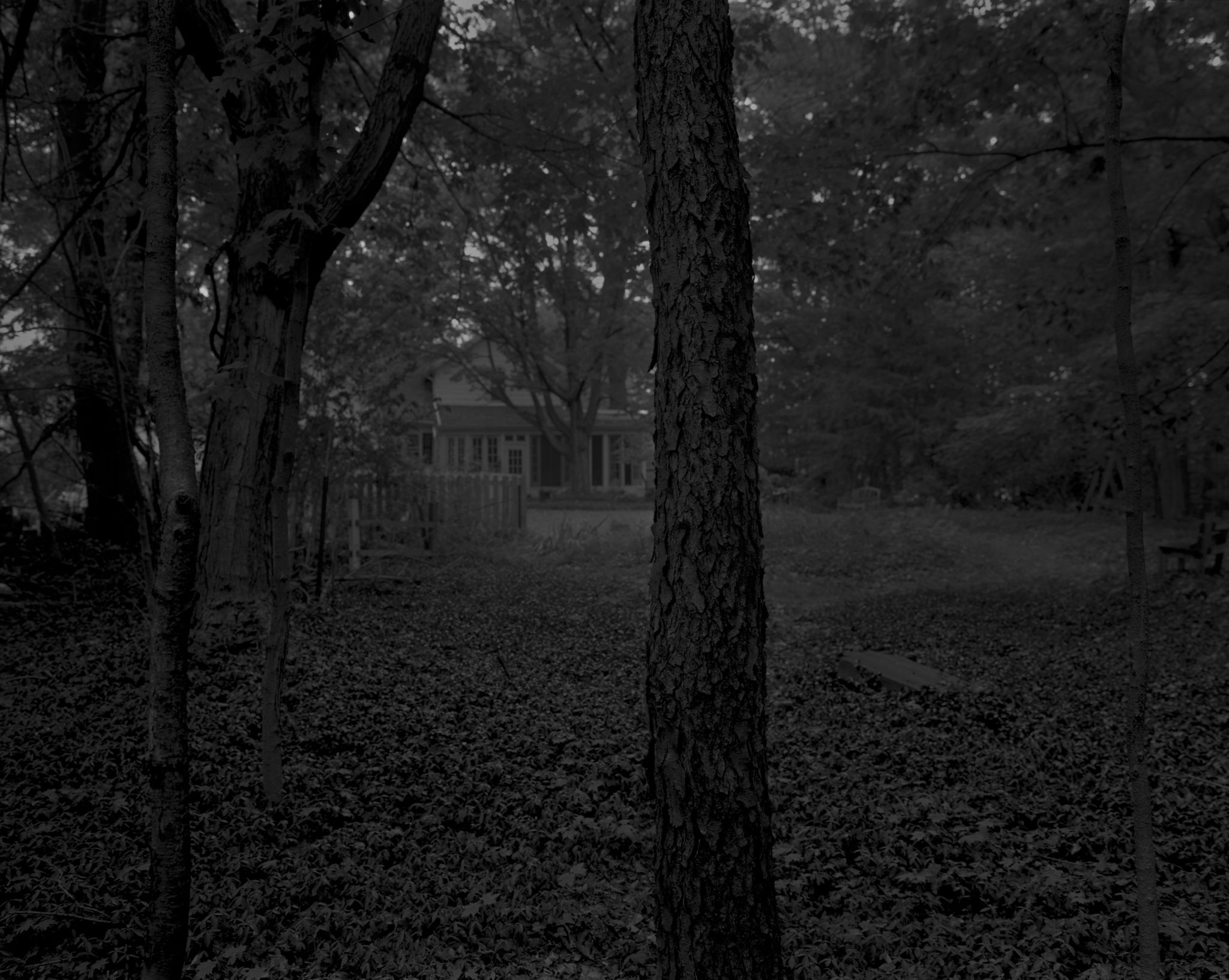 Dawoud Bey’s somber Night Coming Tenderly, Black project