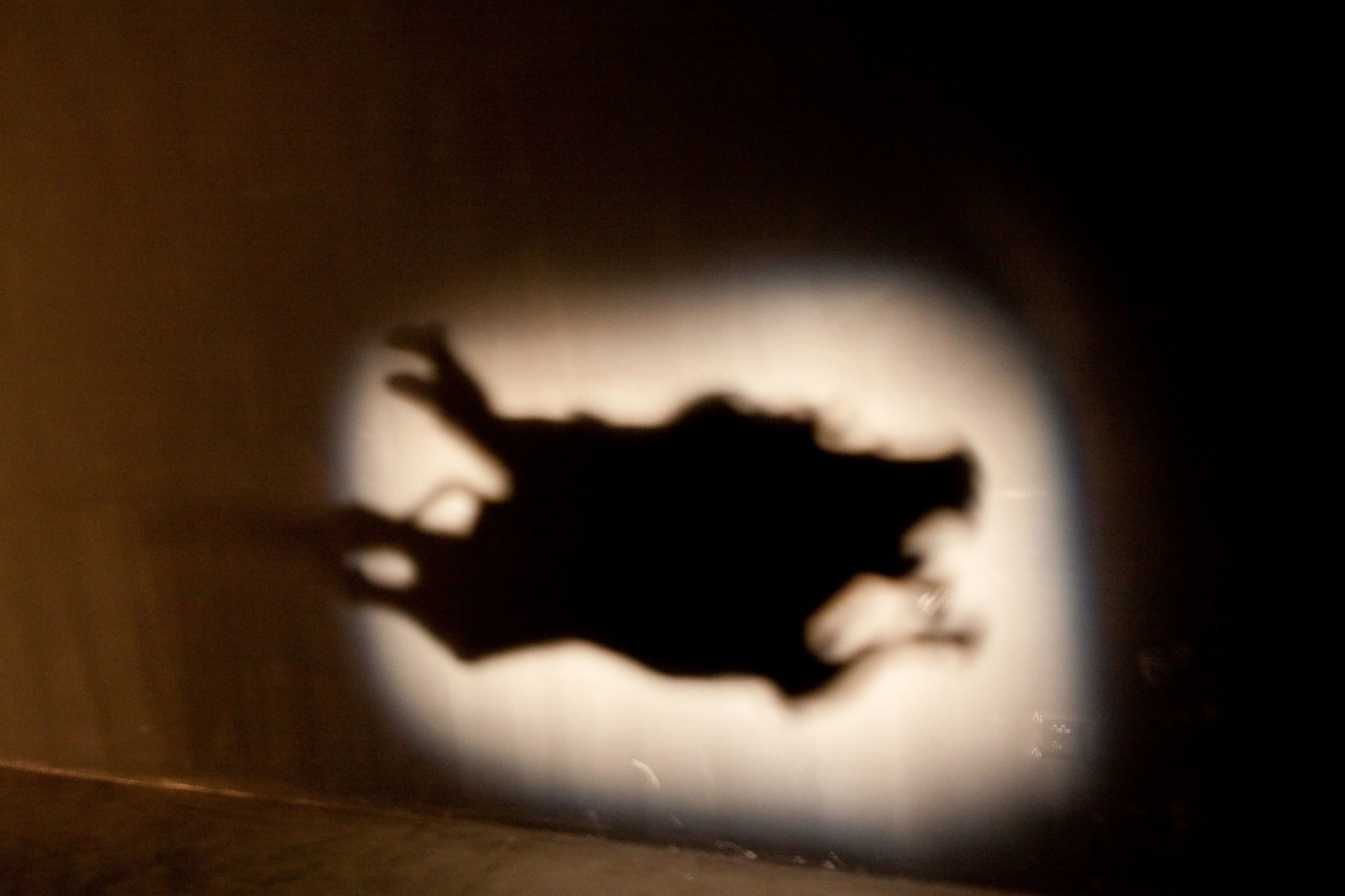 Chen Wenling’s bull fart sculpture – What you see might not be real